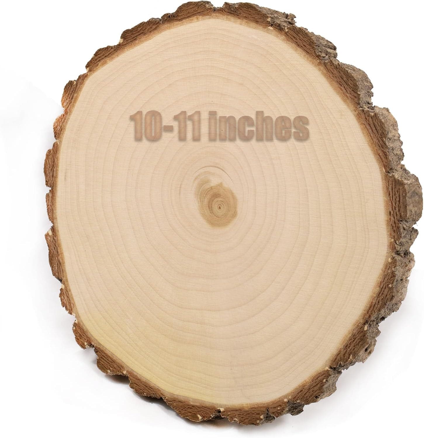 The Ultimate Very Hungry Caterpillar Party Resource Guide - PANACHE